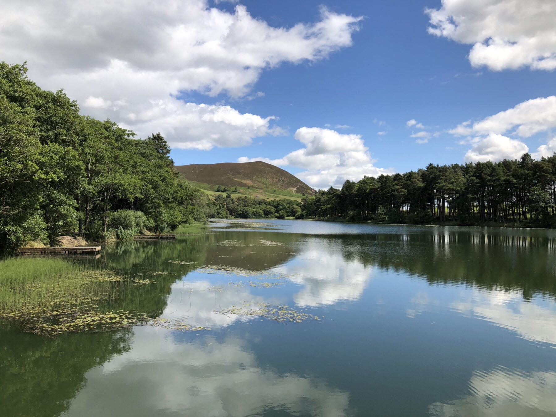 Highland Walks - Paton & Co