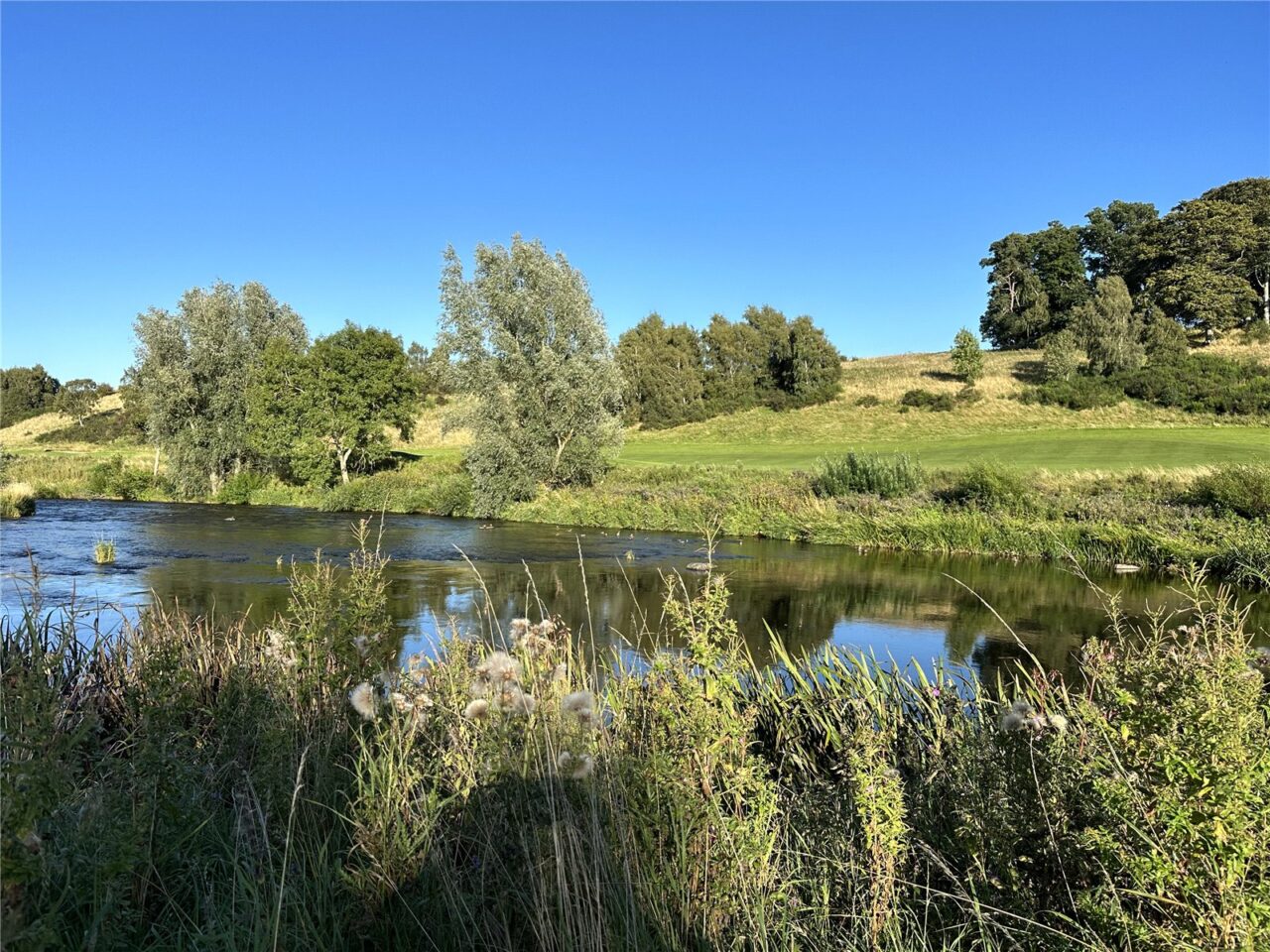 Teviot Bank, Roxburgh, Kelso, Scottish Borders, TD5 8NF - Paton & Co